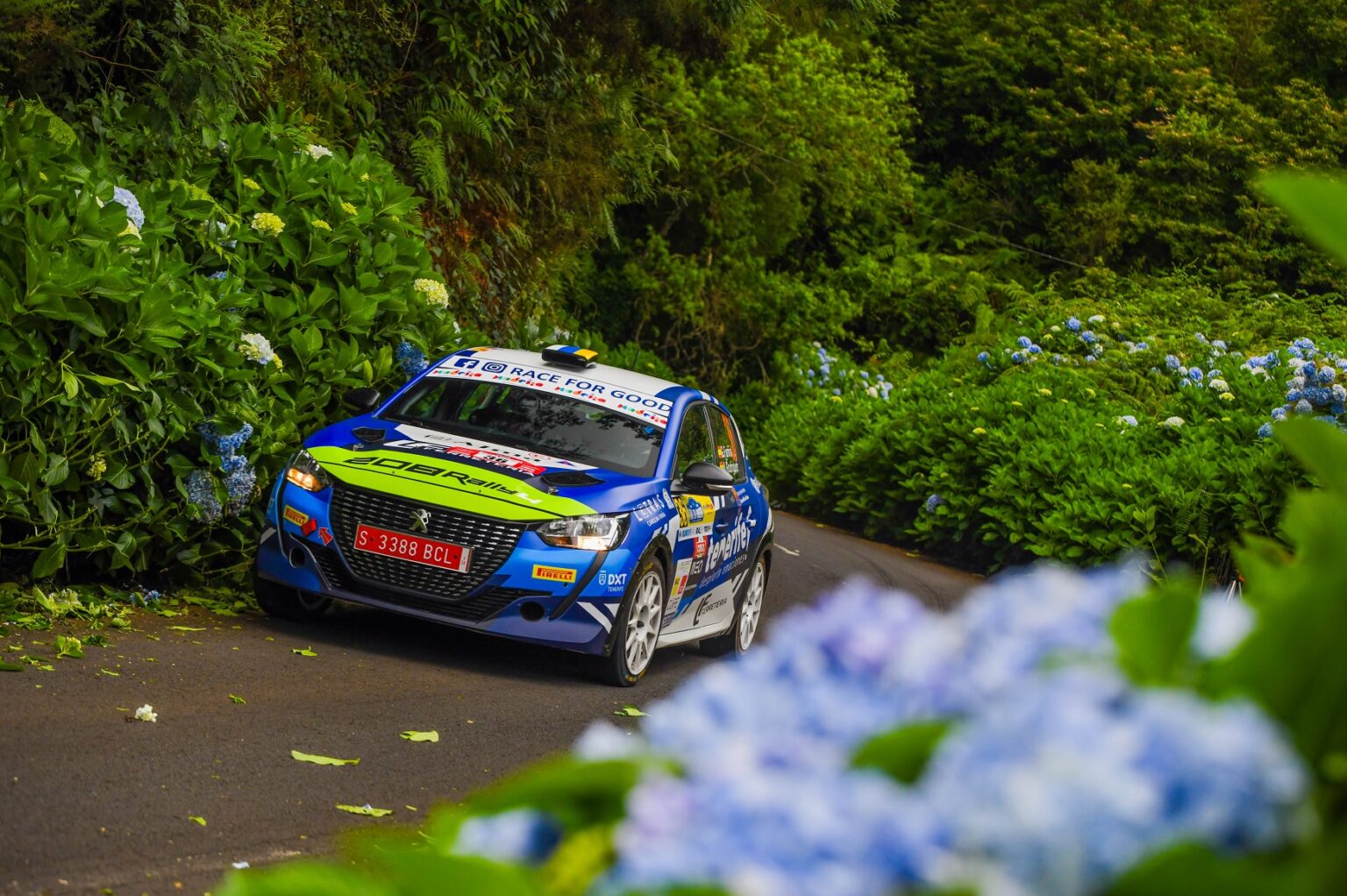 Peugeot Rally Cup: Consistência no troféu referência da Península ...